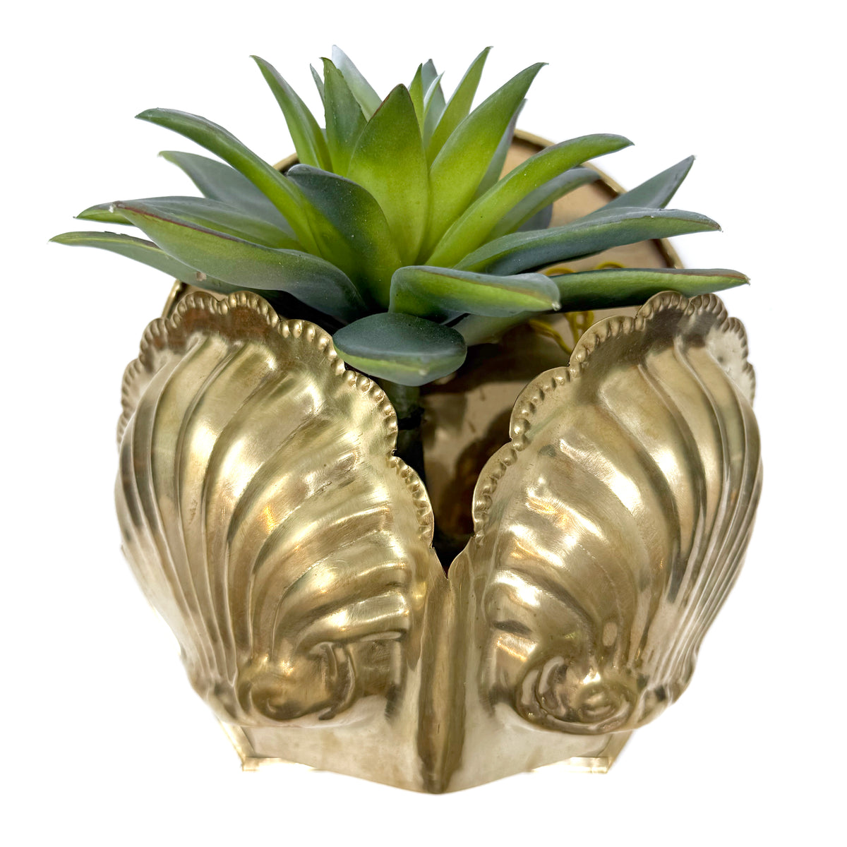 BRASS SHELL WALL SCONCE – Old Flame Candle Co